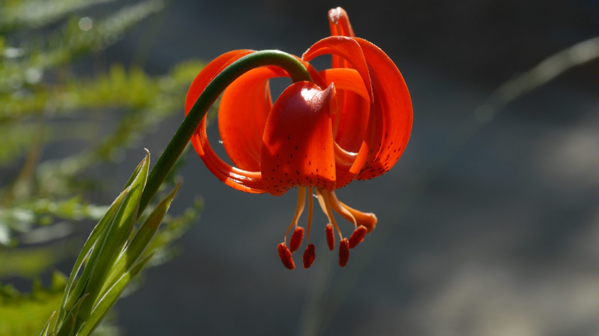 Matthew 6:7-21, 25-34 – So Much Bible!